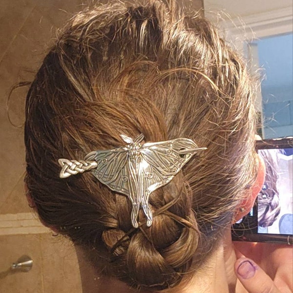 Personalized Butterfly Specimen, Custom Base Engraved Butterfly ...