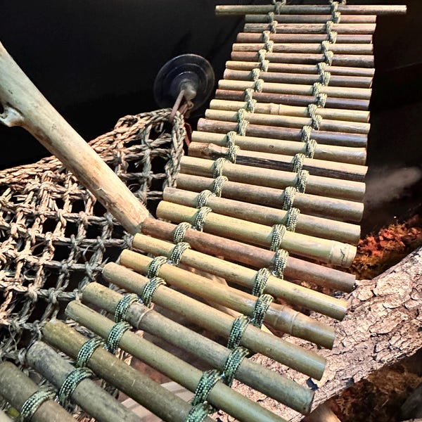 Bamboo Bridge - 2.5" Width - (perfect for Young Crested Geckos, Tree ...