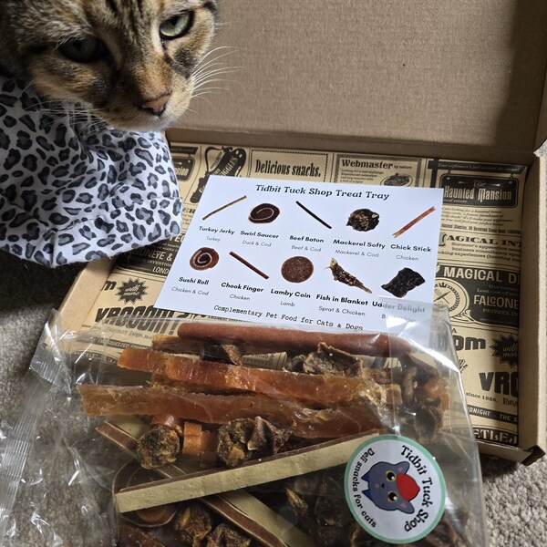 Cat Treat Box, Natural Dried Meat, Healthy Pet Snacks - Etsy UK