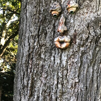 Forrest Stump Concrete Tree Face, Birthday Gifts, Fun Gardeners Gift ...