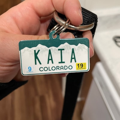 Texas Driver Dog Id Tag Personalized License, Durable Dog Tag, Double ...