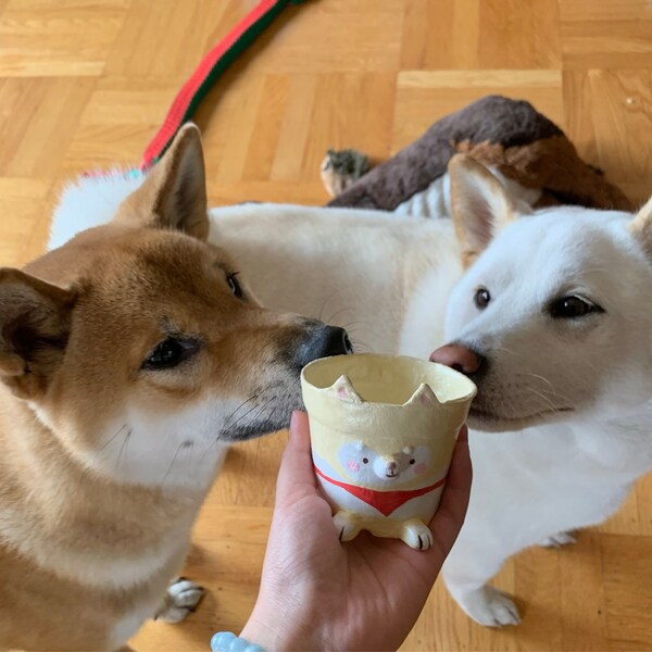 PLAVE Fanart Tote Bag - PLAVE Inspired Tote Bag Noah Yejun Bamby Eunho ...