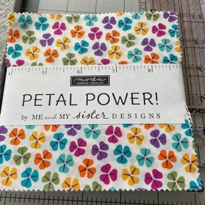 Cider Roxbury Mulled Cider Designed by Basic Grey for Moda | Etsy