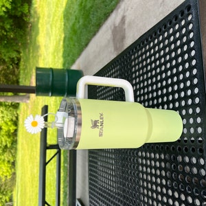 3D Dragon Croc Charm, Dragon Jibbits, 3D Croc Charms, Crocodile Croc ...