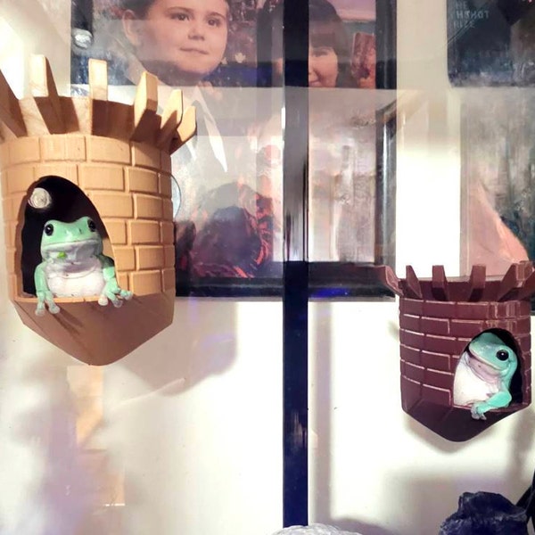 Crested Gecko and Frog Hanging Castle Tower Hide - Etsy