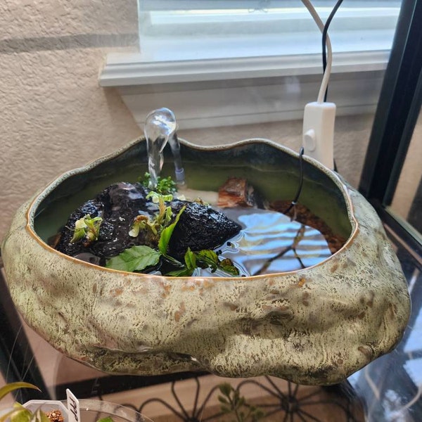 Premium 2-in-1 Aqua Planter Pot Bonsai Lotus Pot, Succulent Planter ...