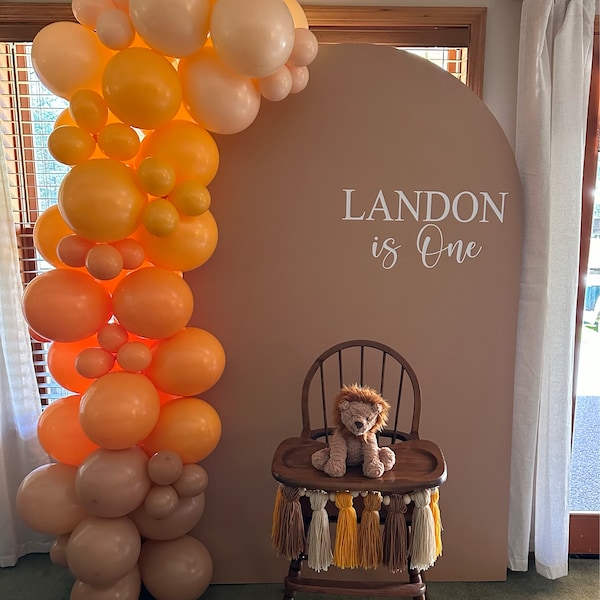 Custom Individual Balloon Colors | CHOOSE Your Colors, Birthday Party ...