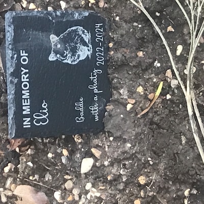 Personalised Engraved Slate Rabbit Pet Memorial Grave Marker Plaque ...
