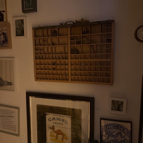 Vintage Type Box Letterpress Printing Drawer | Wooden Shadow Box ...