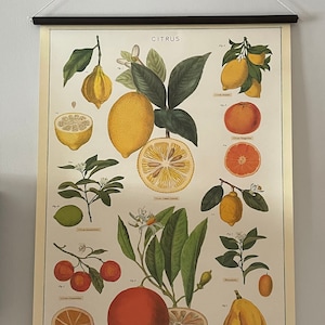 Vintage Style Citrus Posterready to Hang - Etsy