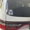 Star Wars Captain Rex METALLIC Blue and White Permanent Vinyl Decal - Etsy
