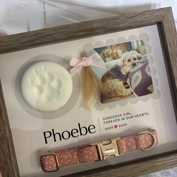 Paw Print Holder Pet Memorial, Clay Paw Print Display Shadow Box, Pet ...
