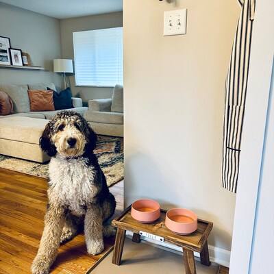 Modern Elevated Dog Feeder Pretty Girl Dog Bowl Stand Personalized ...