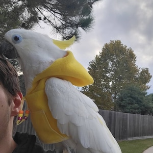 Phantom HARNESS JACKET Parrot Hoody Bird/parrot Clothing - Etsy