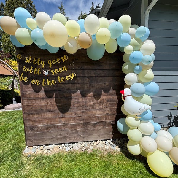 One Silly Goose Balloon Garland Balloon Arch Silly Goose Birthday Party ...