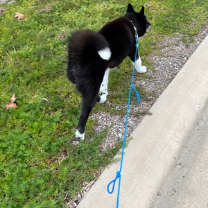PIKA BOWL Sierra Blue - Etsy