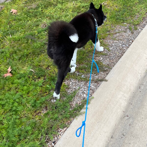 JAR Genius-ultralight Water Measuring Tool for Cold Soaking Dehydrated ...