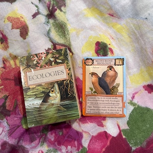 Ecologies Card Game Gameplay Inspired by Nature Use Science to Build ...