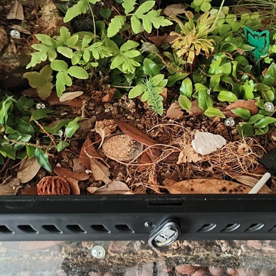 Luminous Soot Tree Elves Micro Landscape Accessories Gardening Plant ...