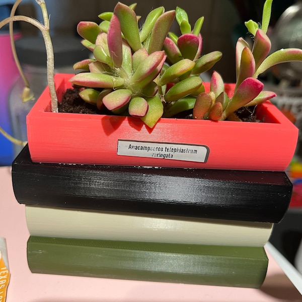 Multicolor Stack of Books Succulent Plant Pot | Succulent Gift | 3D ...