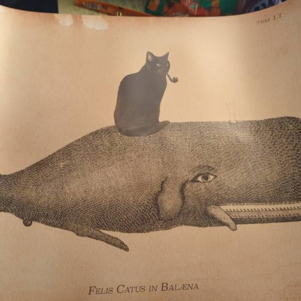 Black Cat Riding Whale Vintage Collage Print Tea Stain Cat Art Cat ...