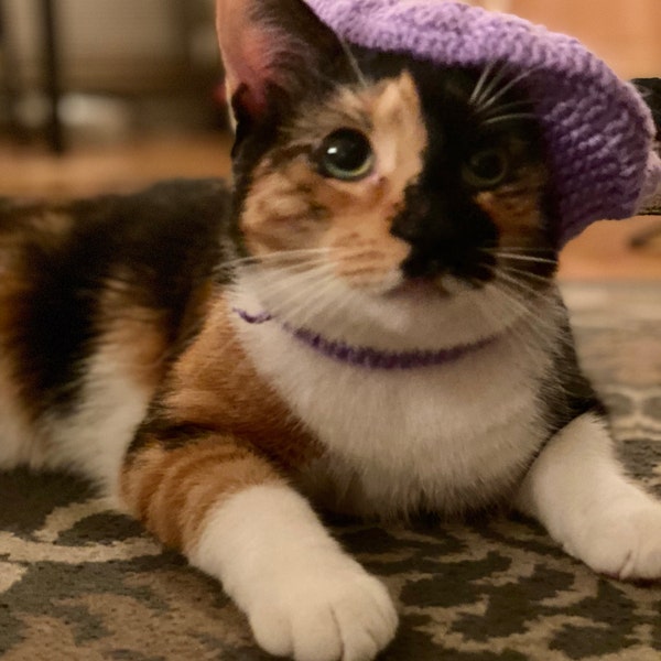 French Beret Hat and Scarf, Beret Hat for Cat, Cat Scarf, Purple Kitten ...