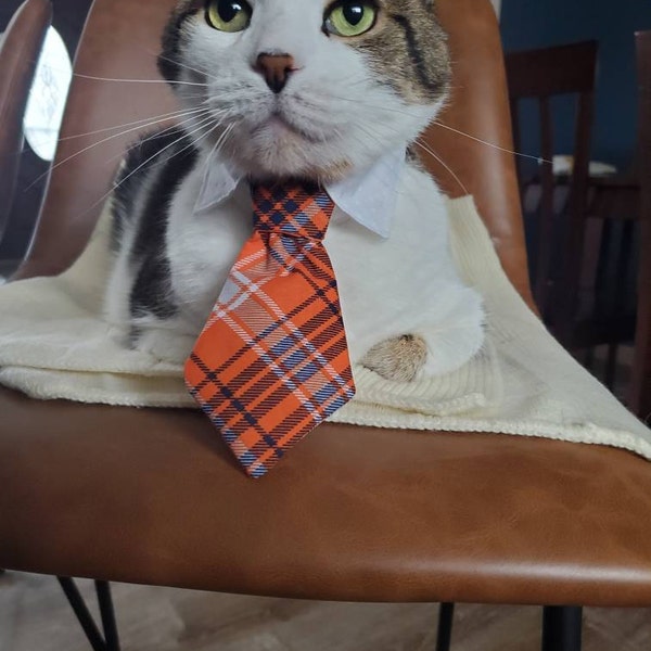 Cat Bow Tie The One Where Tv Show Tie Friendsgiving Etsy 5912