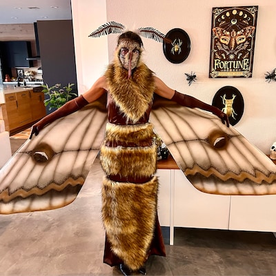 Moth Costume Cape Hand-painted Wings Fantasy Clothing Gothic - Etsy