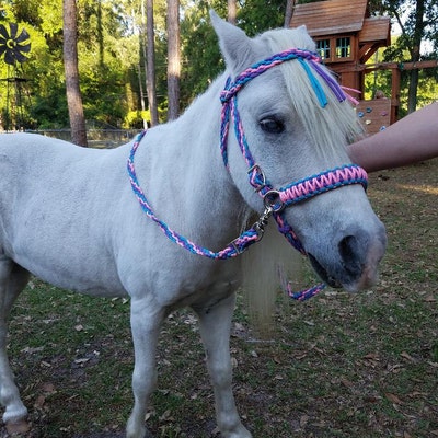 Pony Bitless Bridle, Light Pink, Lilac, and Turquoise Pony Bitless ...