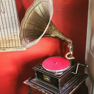 50 Seeds Blue Raspberry Bush SWEET EDIBLE Berry Fruits - Etsy