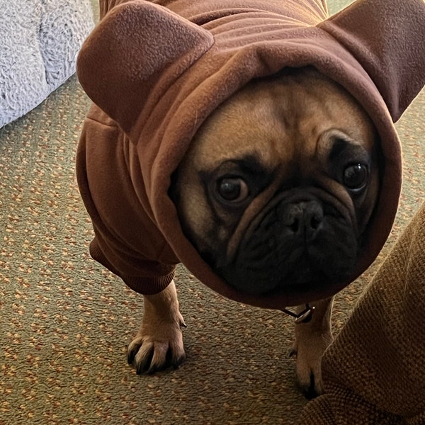 Frenchiestore Organic Dog Frenchie Ear Hoodie | Teddy Bear - Etsy