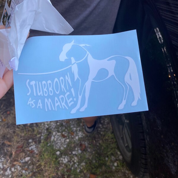Paint War Pony Decal "stubborn as a Mare!" - Equine, Horse Vinyl Decal ...