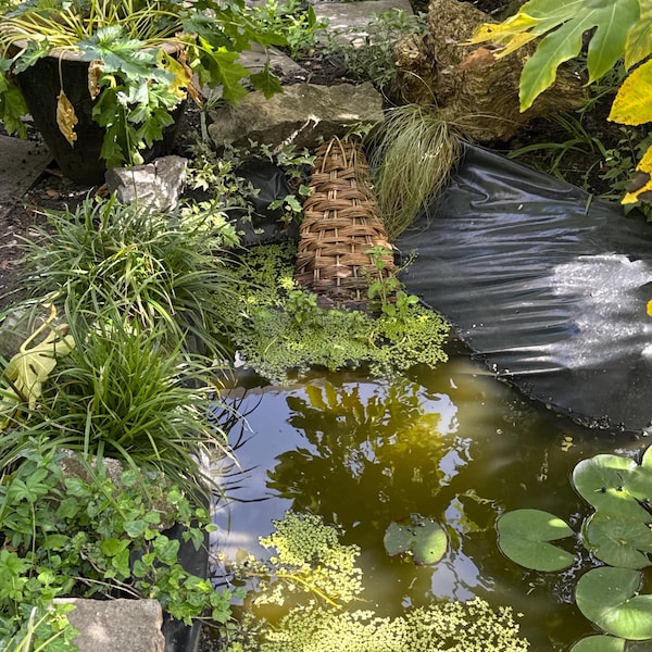 Hedgehog Pond Ramp, Hedgehog Conservation, Pond Decorations, Gardener ...