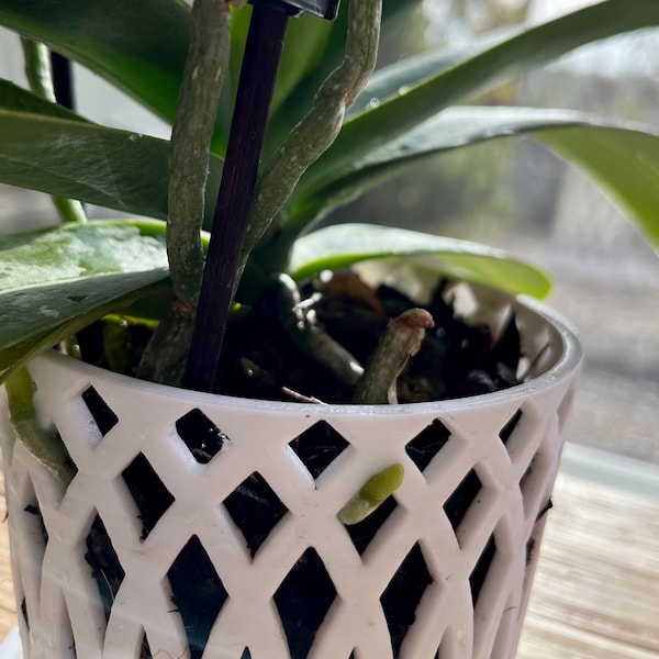 Orchid Pot, Unique Plant Pot With Drainage Holes and Saucer, 3D Printed ...
