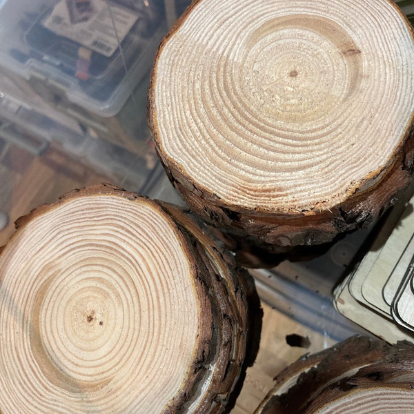 Set of 3 Southern Pine Wood Rounds - Etsy