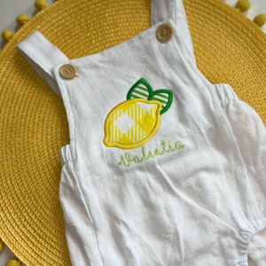 Michigan State Applique Embroidery Design. Machine Embroidery - Etsy