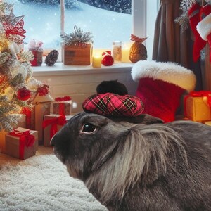 Colonial Tricorn Pirate Hat for Pet Bunny Rabbit and Other Small Pets ...