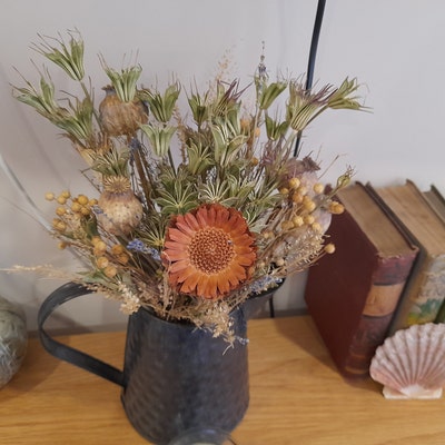 Nigella Pods Bunch Dried Seed Pods Love in a Mist Pods Nigella ...