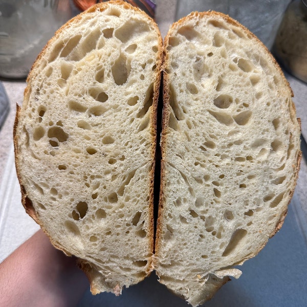 Sourdough Cookbook and Alaska Sourdough Starter, Sourdough Kit, Baking ...