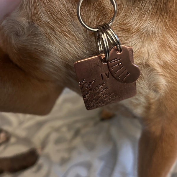 Mini Dog Tag for Dogs, the Bean, Dog Tag, Kidney Bean, Personalized ...