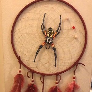 Golden Writing Orb Weaver Spider Argiope Aurantia Gothic Yellow Garden ...