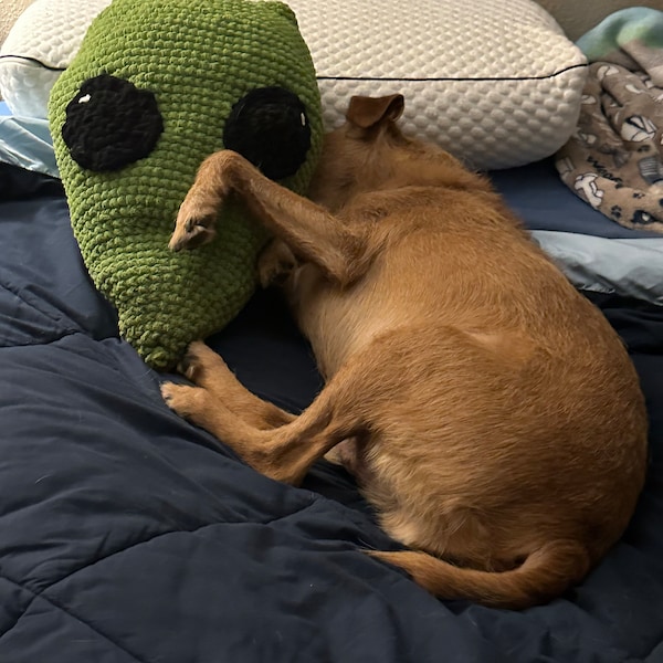 Crochet Alien Cushion Pattern Crochet Pillow Beginner Alien Pattern ...
