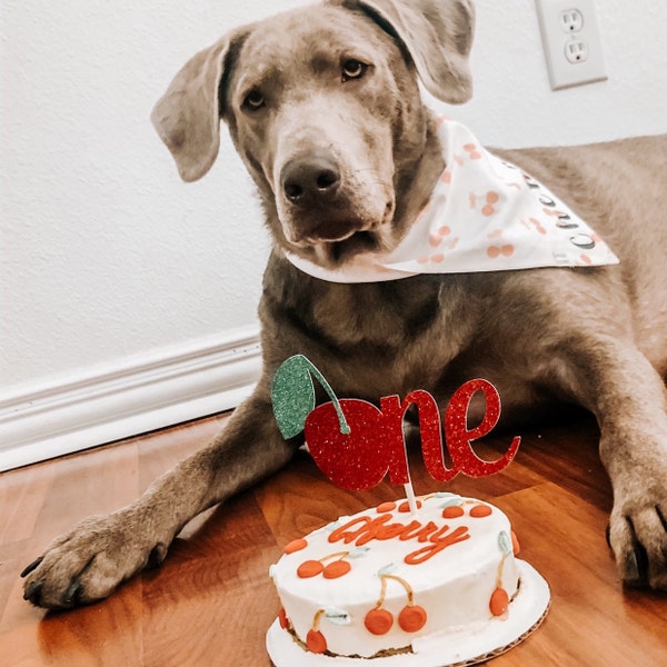 Cherry First Birthday. Cherry Cake Topper. Cherry Party Decorations ...