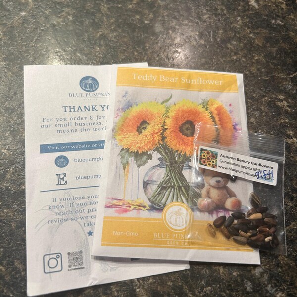 Yugoslavian Fingers heirloom/c.pepo Seeds: Semi-rare, White Finger ...