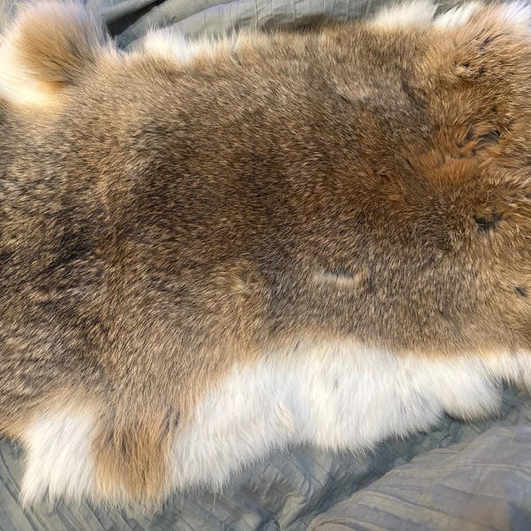 Beautiful Dark Color Rabbit Fur, Skin, Hide, Very Soft, All Natural ...