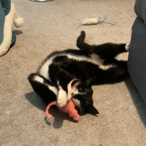 Magical Purple Moon Cat Toy With White Embroidered Stars - Etsy