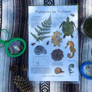 Patterns in Math & Nature School Room Printable 8.5 X 11 and A4 Digital ...