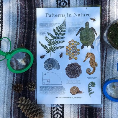 Patterns in Math & Nature School Room Printable 8.5 X 11 and A4 Digital ...
