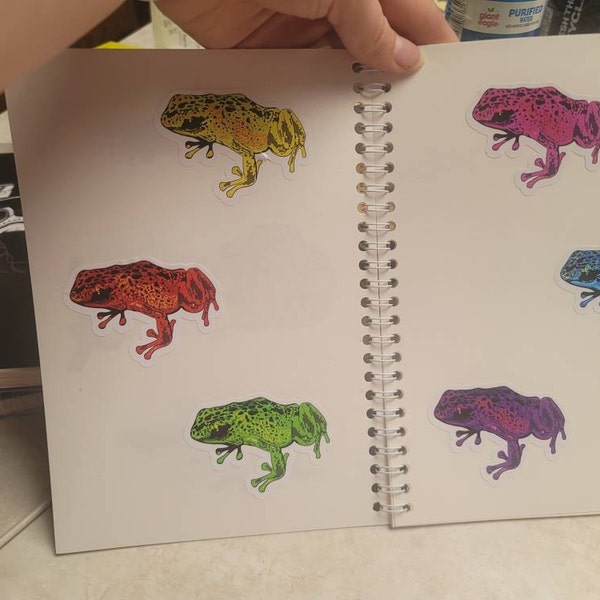 Mantis Shrimp Holographic Sticker, Shrimp Sticker, Ocean Sticker, Vinyl ...