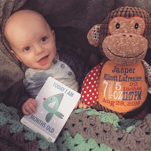 Personalized Stuffed Animal Baby Cubbies Purple Monkey Embroidered ...